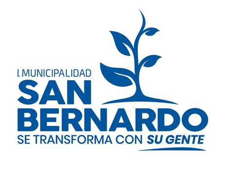 I Municipalidad De San Bernardo Sólo Realiza Esterilización De