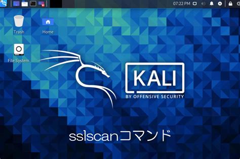 ハッカーはsslscanでサーバのssltls状態を調査するkali Linuxツール説明 Aiを武器にホワイトハッカーになる