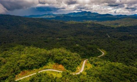 Members Of The World Network Of Mountain Biosphere Reserves