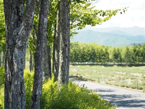 イオンモール土岐10月7日（金）オープン。待望の映画館は開館ならず。 えかブログ