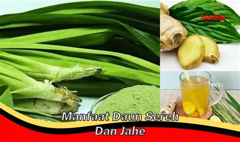 Manfaat Rebusan Daun Salam Dan Sereh Khasiat Luar Biasa Untuk Kesehatan