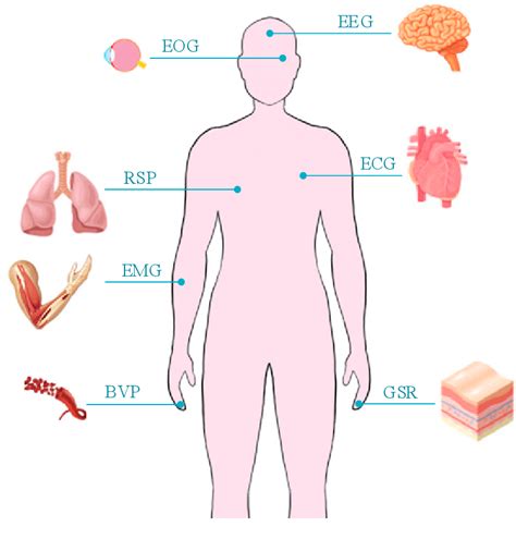 Figure 1 From Emotion Recognition Using Different Sensors Emotion Models Methods And Datasets