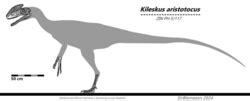 Kileskus Wikipedia