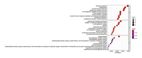 To Verify The Reliability Of The Prognosis Model Patients In The
