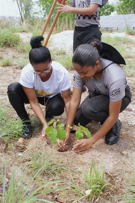 Projeto De Revitalização De Bacias E Projeto Agente Mirim Promovem