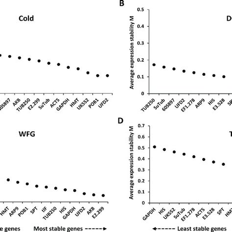 Comprehensive Stability Ranking Of The Candidate Reference Genes