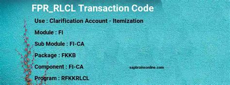 Fpr Rlcl Sap Tcode For Clarification Account Itemization