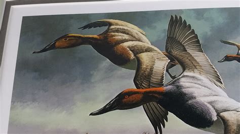 Federal Migratory Bird Stamp Print US Department Of Etsy