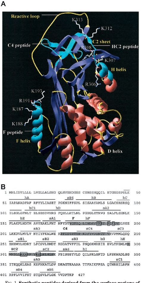 Figure 1 From Identification Of A Major Heparin Binding Site In