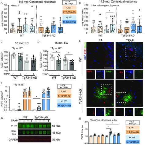 The Effects Of Chronic Exposure To Ambient Traffic Related Air Pollution On Alzheimers Disease