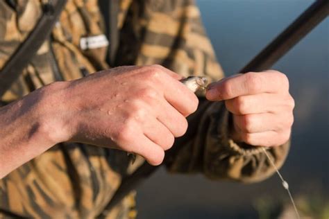 Iscas Naturais Para Pesca De Pirarara Top 6 Iscas E Equipamentos