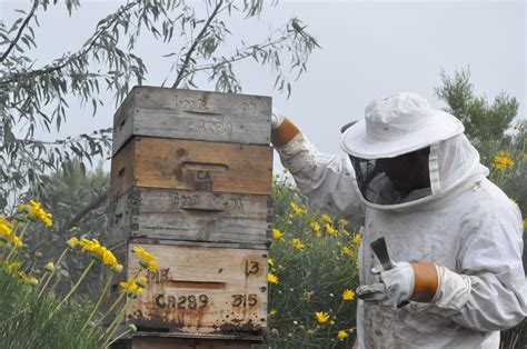 Gallery Overberg Honey Company