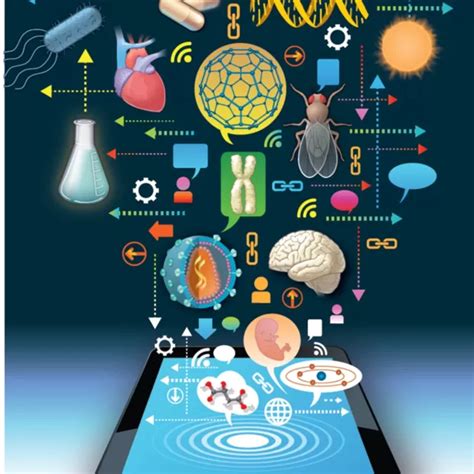 Descubre la relación entre la tecnología y las ciencias sociales