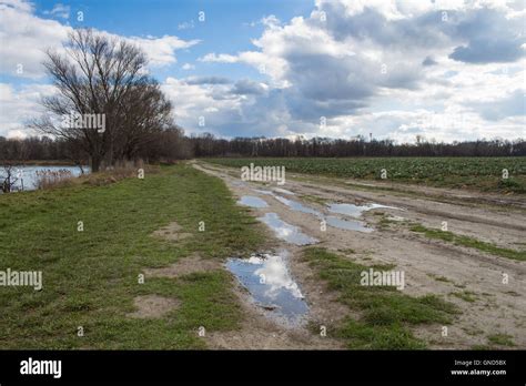 Tree Without Leaves Winter Night Hi Res Stock Photography And Images Alamy