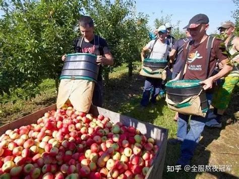 去澳洲边留学边打工，能把学费赚回来吗？ 知乎