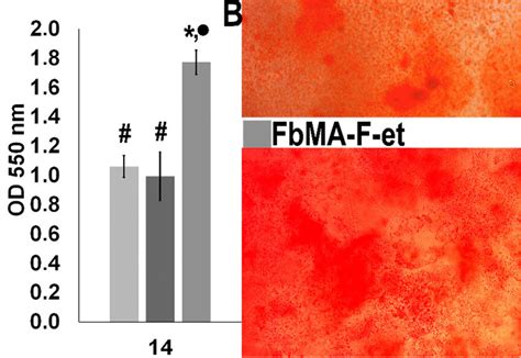 osteogenic properties of fb derived substrates a alp activity by