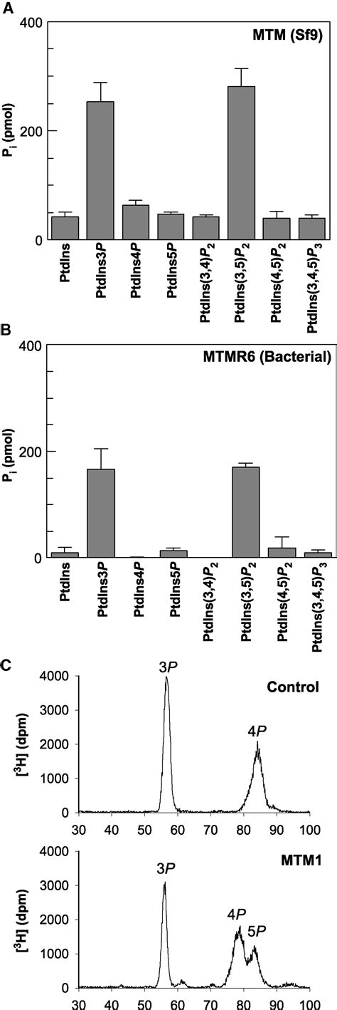 Phosphatidylinositol 5 Phosphate Activation And Conserved Substrate Specificity Of The