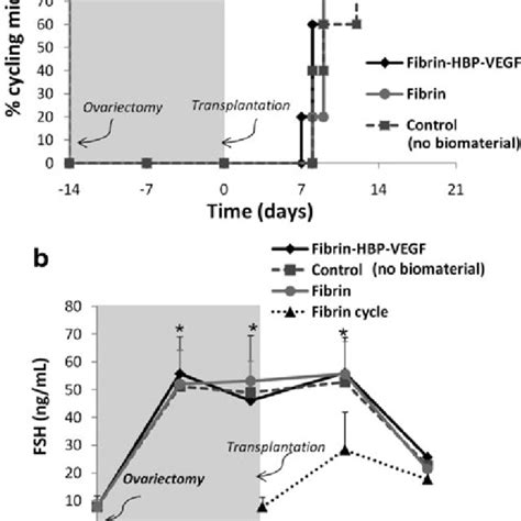 Vascularization Of The Transplanted Ovarian Tissue A C Blood Vessels