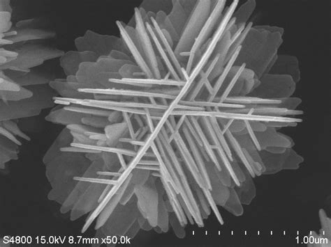 Zno Nanoflower Zno Nanoflower Synthesized Using Hydrothermal Route