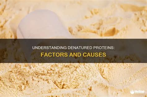 Understanding Denatured Proteins Factors And Causes Medshun