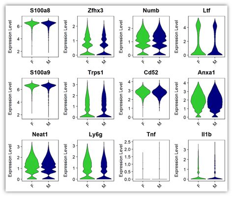 seurat批量做图修饰 seurat vlnplot csdn博客