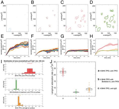 Single Cell Dynamics Analysis Of A 30 Bhk Tpo Cell Population A D