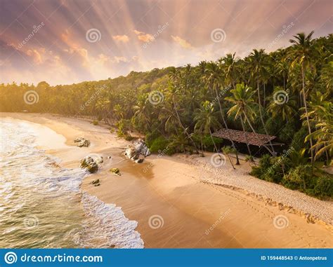 Puesta Del Sol Rom Ntica En Una Playa Tropical Con Las Palmeras Imagen