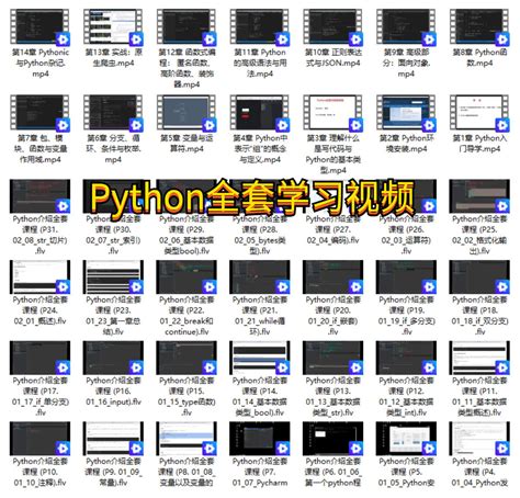2024年python学习资料（实战项目爬虫源码学习视频） 哔哩哔哩