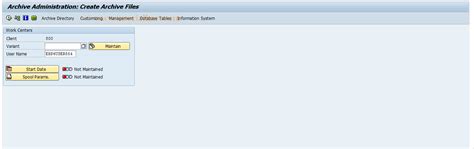 CRA SAP Tcode PP Archiving Work Centers