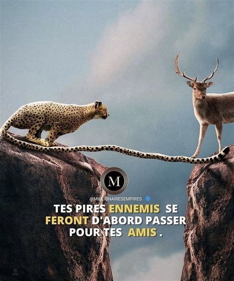 Épinglé par taam taam sur Conseils Citation guerrier Dictons et