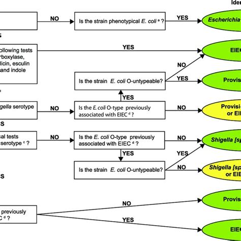 Pdf Evaluation Of A Culture Dependent Algorithm And A Molecular
