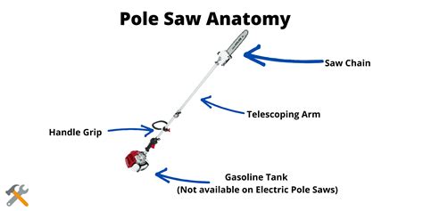 How To Use A Pole Saw 5 Step Guide ToolsGaloreHQ