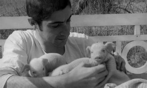 Vase De Noces Austin Film Society