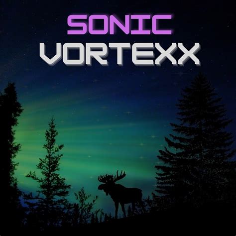 The Life Of Sonic Vortexx Youtube