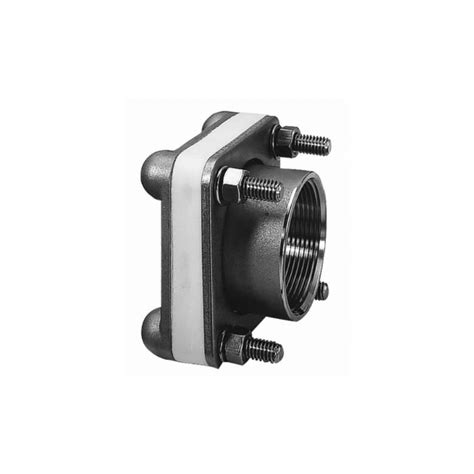 1 14 Stainless Steel Double Threaded Bolted Fitting 316ss No Gasket