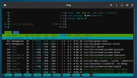 Manjaro Linux Review In Depth Look At Features Hardware Support