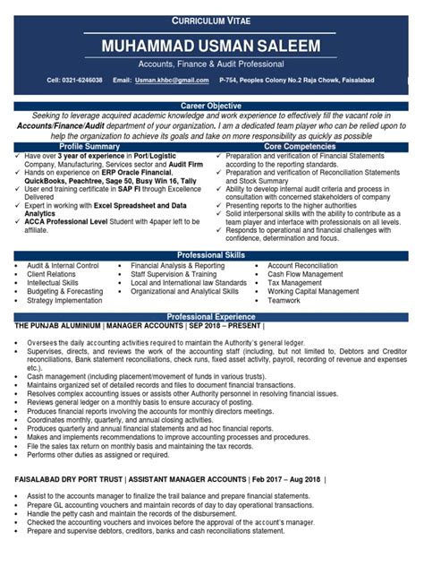 muhammad usman saleem pdf audit accounting