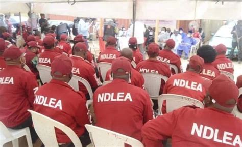 Ndlea Arrest Prophet 76 Others With Illicit Drugs In Lagos — Newsverge