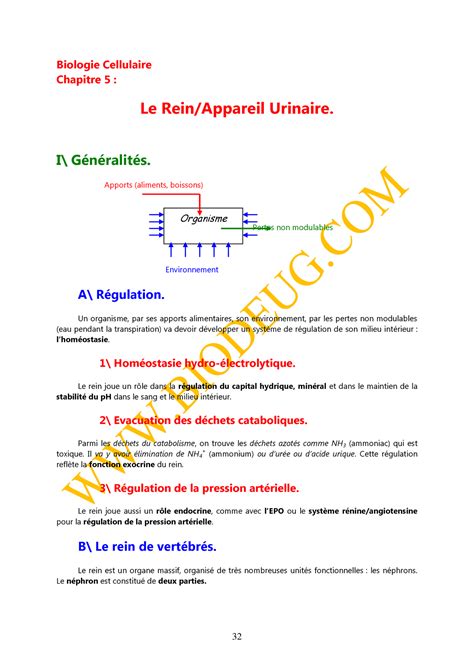 L Biocell Chap Biologie Cellulaire Biologie Cellulaire Chapitre Le Rein Appareil