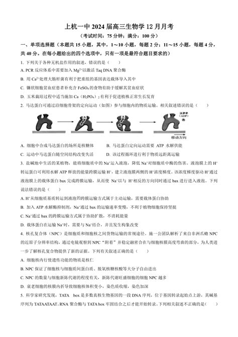 福建省龙岩市上杭县重点中学2023 2024学年高三上学期12月月考生物学试题（含答案） 21世纪教育网