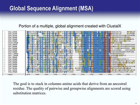 Ppt Introduction To Protein Sequence Analysis Charlie Whittaker Sebastian Hoersch Powerpoint