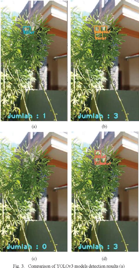 Figure 3 From Kenaf Flower Detection Using Yolov3 Semantic Scholar