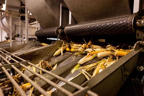 Call Us For Corn Seed Processing In Fremont Ne