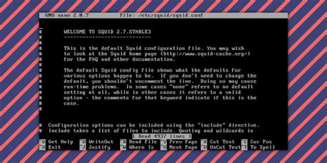 Konfigurasi Proxy Server Pada Debian Linux Astro