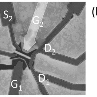 A Measurement Schematic Of The Side Gate Channel Leakage Current Download Scientific Diagram