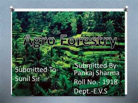 Multipurpose Trees For Bio Remediation Pdf Agriculture Industries