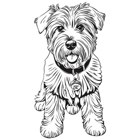 Miękko Powlekany Pies Wheaten Terrier Ręcznie Rysowane Logo Rysunek