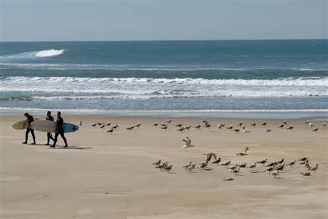 Surf Em Vila Praia De Ancora Hotel Meira