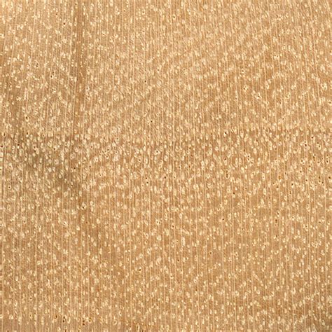 Gray Birch The Wood Database Hardwood