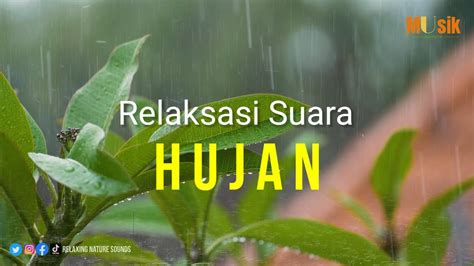 Relaksasi Suara Hujan Atasi Susah Tidur YouTube